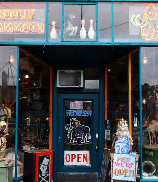 wacky antique store illinois ftr