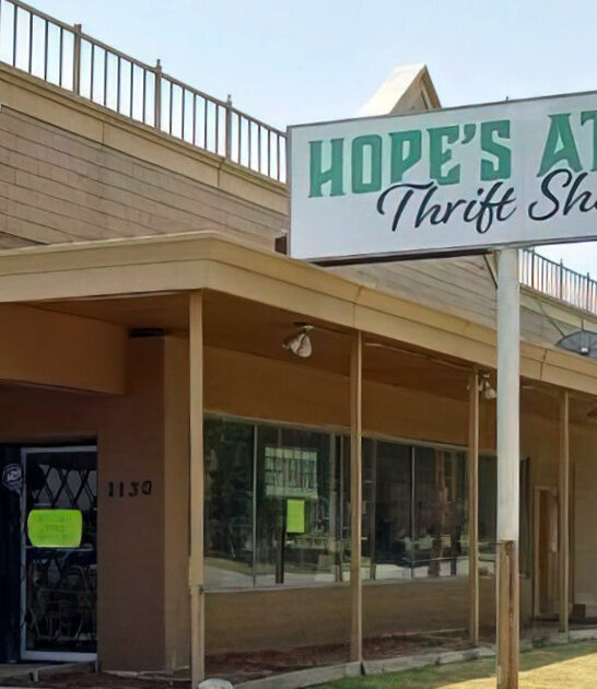 wallet friendly collectibles illinois ftr