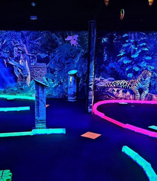 whimsical mini golf florida ftr