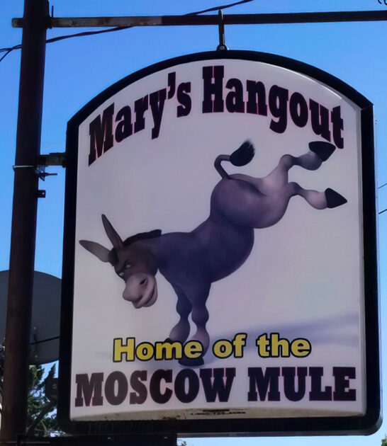 wisconsin funky dive bar ftr