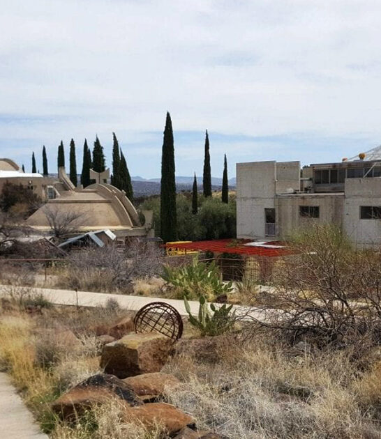 wonderfully bizarre town arizona ftr