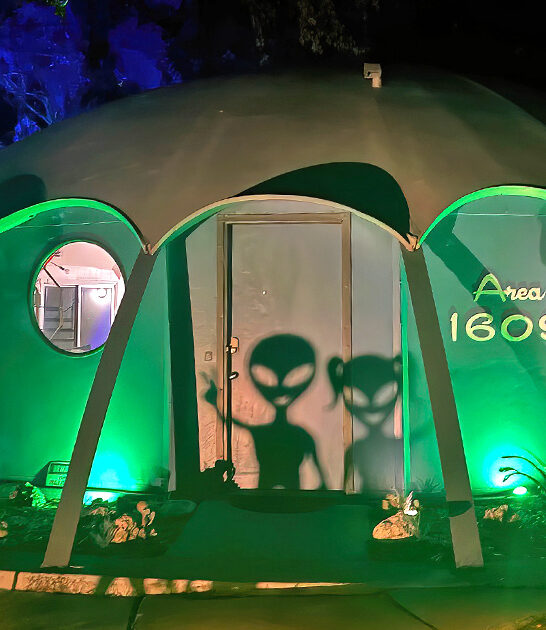 wonderfully weird airbnb florida ftr