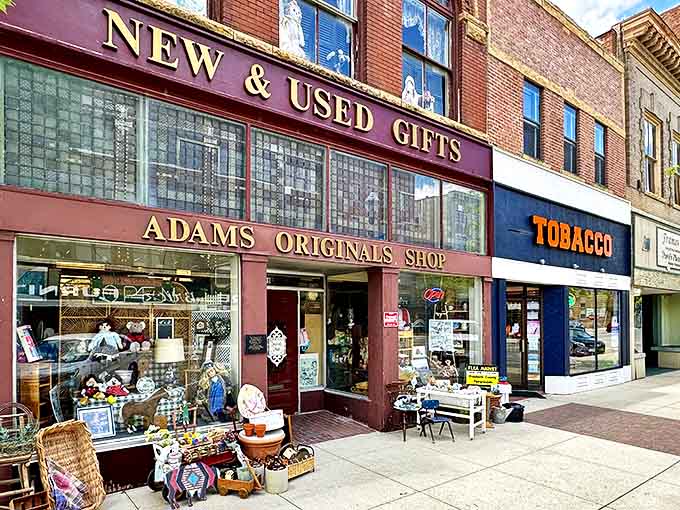 The welcoming storefront of Adams Originals in Albert Lea beckons with golden lettering and windows brimming with childhood treasures waiting to be rediscovered.