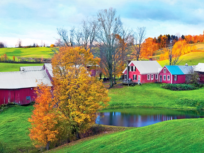 Vermont's picture-perfect countryside unfolds with the iconic red barns and rolling hills of Billings Farm, a postcard come to life.