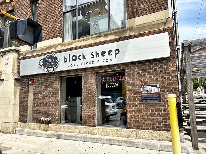 Black Sheep's unassuming brick exterior hides a pizza paradise within &ndash; like finding a diamond in your backyard.