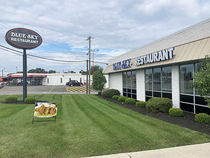 Blue Sky Restaurant: Where the neon sign promises comfort and the kitchen delivers magic &ndash; Elyria's worst-kept culinary secret.