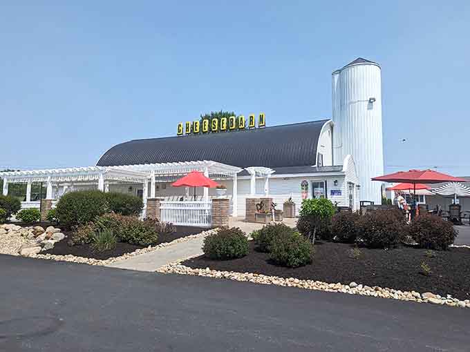 The iconic barn-shaped building with its cheerful yellow "CHEESEBARN" sign stands like a beacon for cheese lovers traveling along I-71 in Ashland, Ohio.