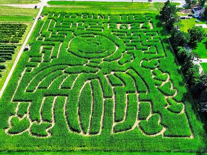 An aerial masterpiece of agricultural artistry &ndash; Robinette's 6.5-acre corn maze challenges visitors with intricate pathways and surprising dead ends.