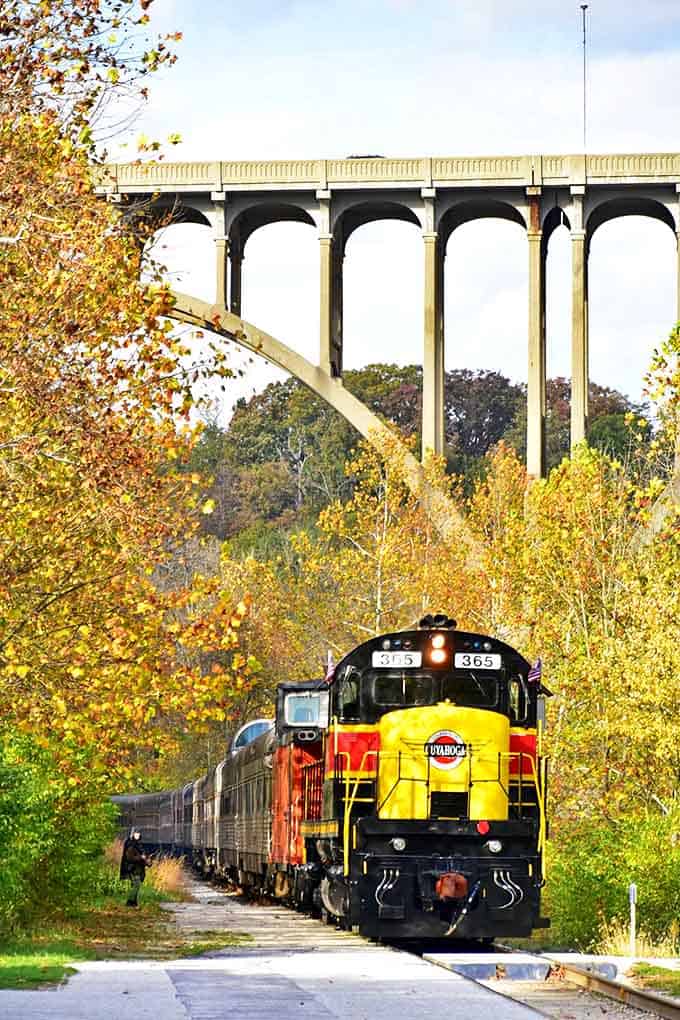 The majestic Cuyahoga Valley Scenic Railroad glides beneath a towering bridge, autumn's golden palette creating nature's perfect frame for this historic journey.