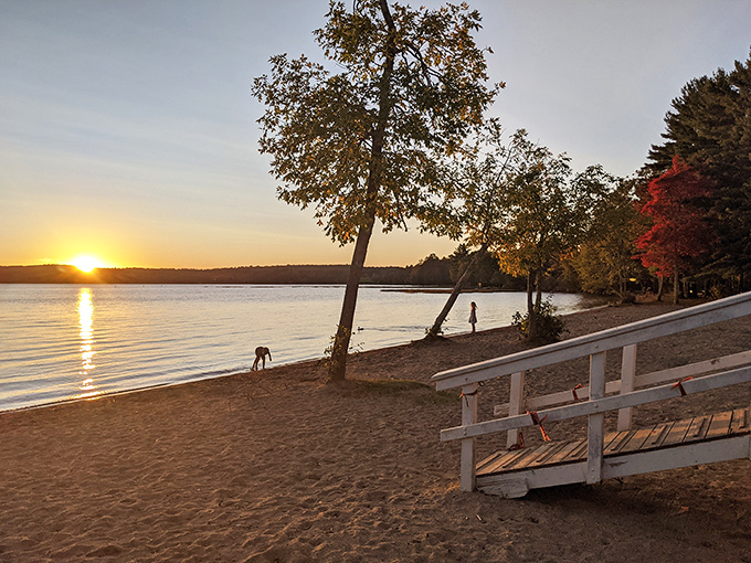 Sunset paints Damariscotta Lake in golden hues, transforming an already beautiful scene into something magical. Maine's natural light show at its finest.