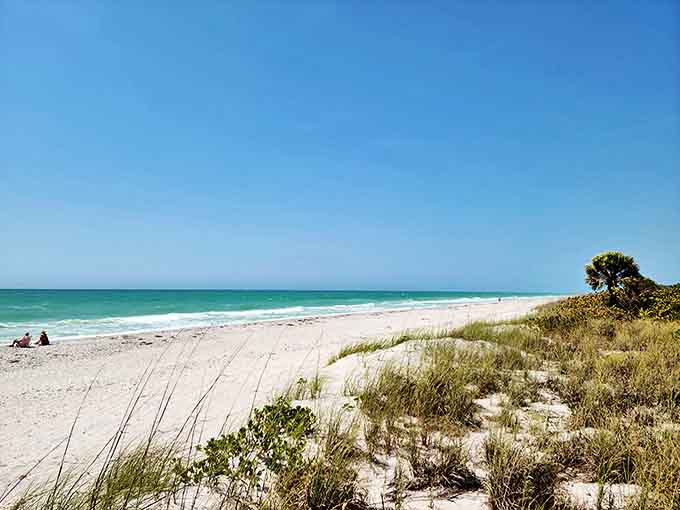 Powdery white sand meets turquoise waters at this hidden Gulf Coast paradise. Mother Nature showing off without even trying.