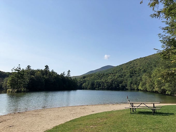 Nature's perfect mirror: Emerald Lake's still waters create reflections so pristine you'll question which way is up.
