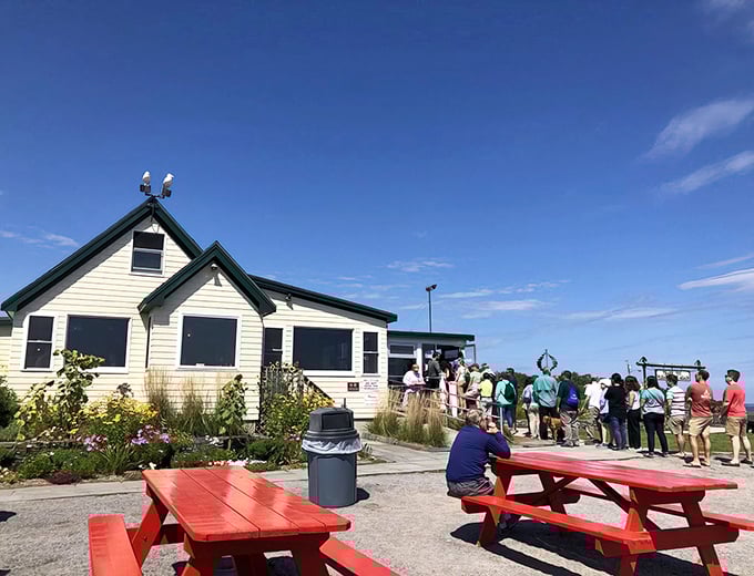 The quintessential Maine experience: A charming seafood shack perched on rocky shores, where ocean views compete with the food for your attention.