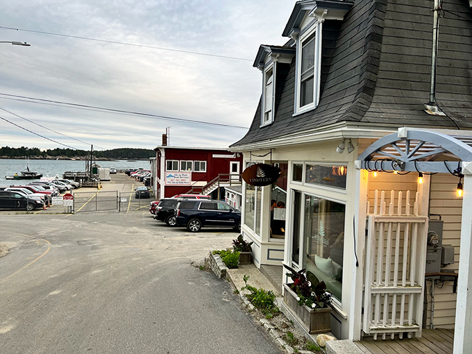 Weathered gray shingles and a modest facade hide culinary treasures within &ndash; Fin and Fern's harbor-side location promises seafood that practically jumped from ocean to plate.