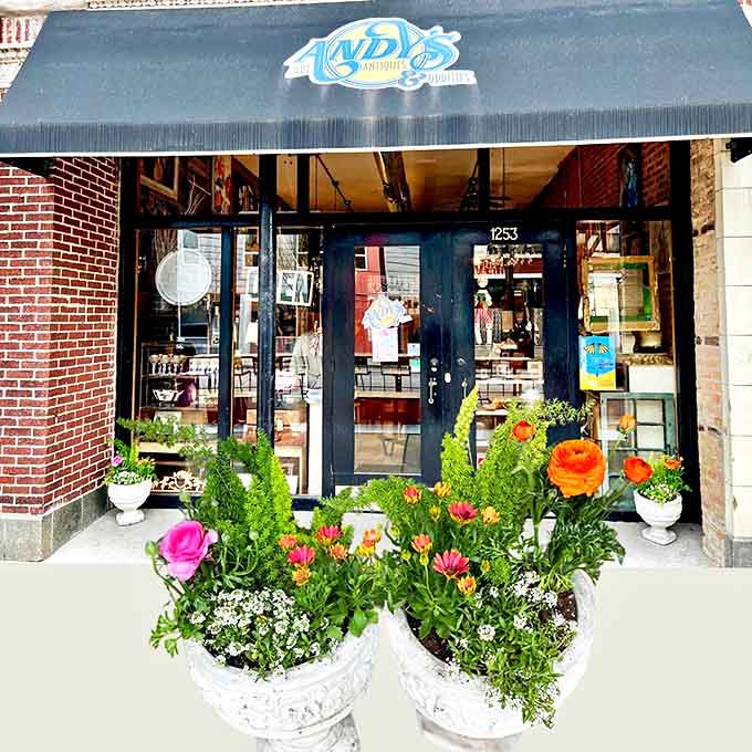 Andy's Antiques & Oddities welcomes curious souls with its vibrant flower displays and blue awning &ndash; the portal to a world of wonderful weirdness.