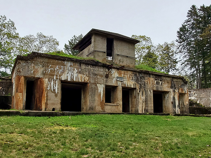 Fort Baldwin's weathered concrete facade emerges from the Maine forest like a forgotten relic, its military purpose now softened by time and nature.