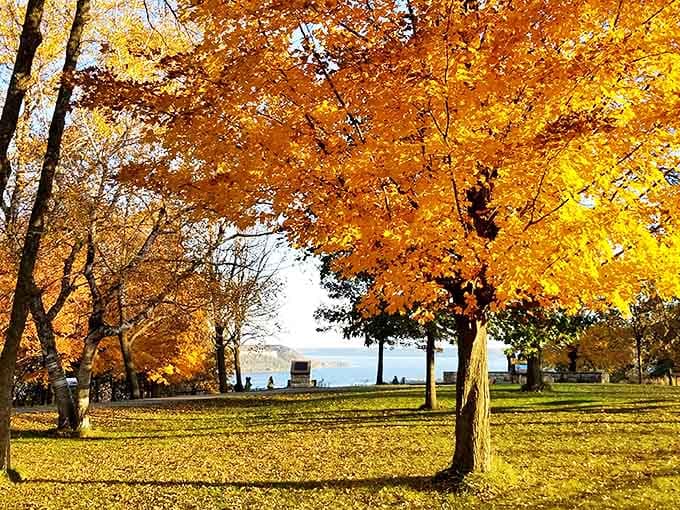 Golden maples frame Lake Pepin's blue expanse at Frontenac State Park &ndash; nature's perfect color coordination at work. Who needs Instagram filters?