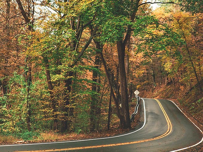 Winding through autumn's canvas, this curvy stretch of asphalt promises adventures that Instagram filters couldn't possibly improve.