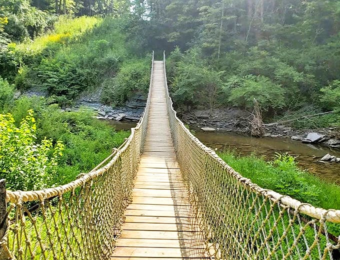 The swaying suspension bridge at Horseshoe Falls Trail offers that perfect "I'm having an adventure!" moment without requiring survival skills or emergency contacts.