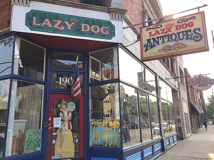 The storefront beckons like a time traveler's portal, promising adventures in decades past and treasures you didn't know existed.
