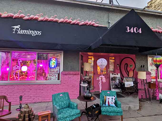 That pink exterior isn't whispering, it's shouting that vintage shopping should be this much fun, with flamingos standing guard like fabulous sentries.