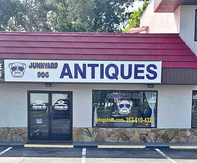 The unassuming storefront of Junkyard Dog Antiques belies the treasure trove within &ndash; like finding a secret passage to the past in an everyday strip mall.