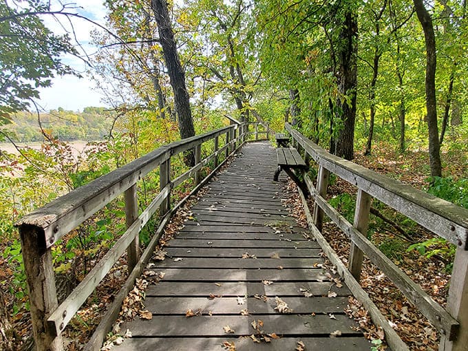 Wooden boardwalks at Kilen Woods State Park invite wanderers into a world where time slows and worries fade with each creaking step.