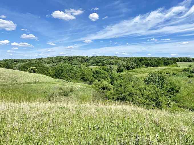 Those rolling hills stretch out like nature's own golf course, minus the dress code and overpriced drinks at the clubhouse.