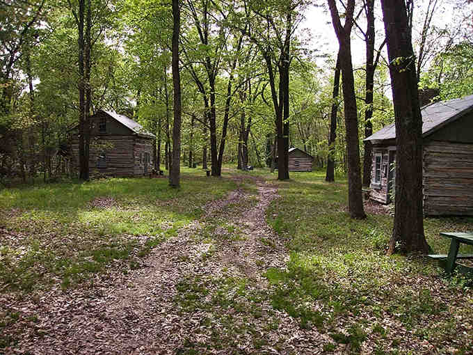 Rustic log cabins nestled among towering trees create a peaceful village scene that whispers stories of Illinois pioneers and simpler times.