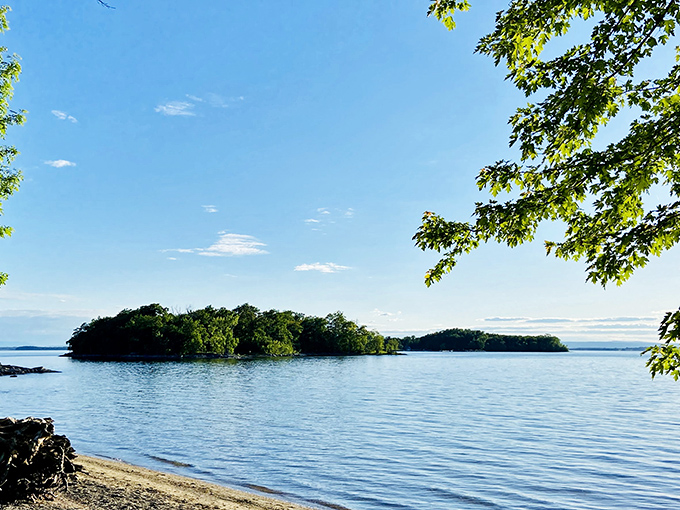 Knight Island emerges from Lake Champlain like a green jewel, promising adventure for those willing to make the journey across water.