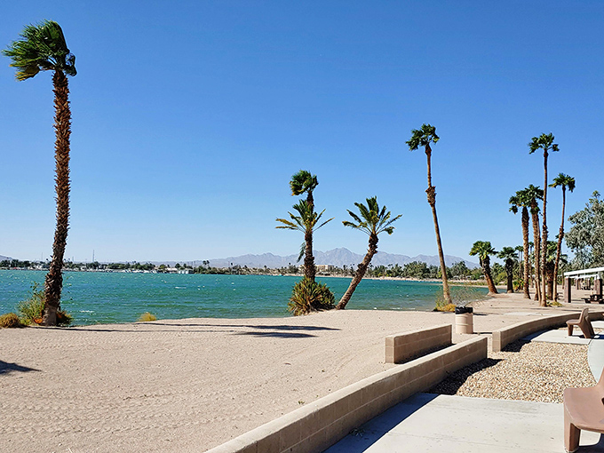 Palm trees swaying against azure waters &ndash; Lake Havasu's shoreline offers a mirage-like tropical escape in Arizona's desert landscape.