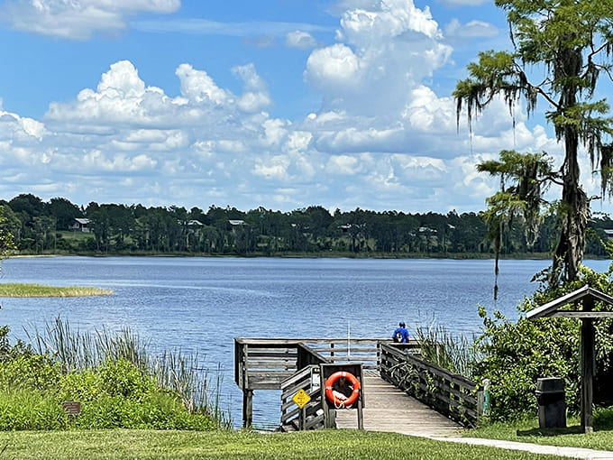 Lake Louisa State Park: Where Florida decided to throw in some hills just to keep you guessing. Mother Nature's showing off again!