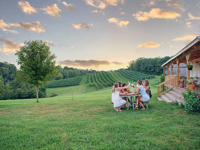 Sunset transforms Le Petit Chevalier into a golden paradise where friends gather around rustic tables, toasting life amid vineyard rows stretching toward the horizon.