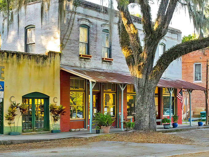 Micanopy's historic downtown welcomes visitors with weathered brick facades and Spanish moss, like stepping into a sepia photograph come to life.