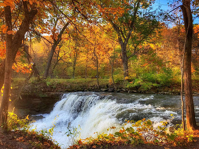 Minneopa Falls erupts in autumn glory, where rushing water meets fiery foliage in nature's perfect collaboration.