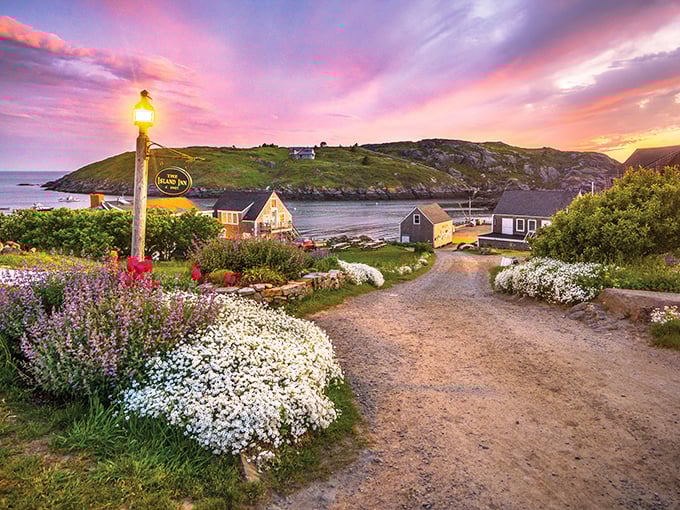 Sunset paints Monhegan's harbor in dreamy pinks and purples, nature's own masterpiece that no filter could improve.
