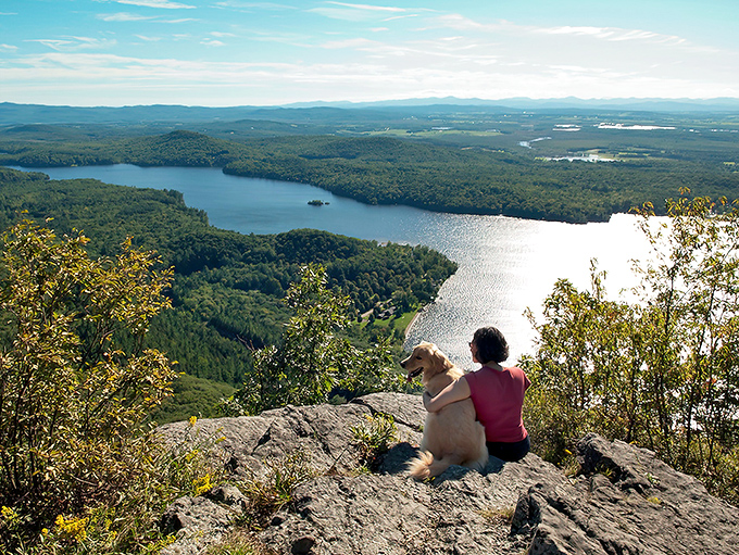 Nature's ultimate viewpoint: where humans and canines alike pause to contemplate life's bigger questions against Vermont's breathtaking backdrop.