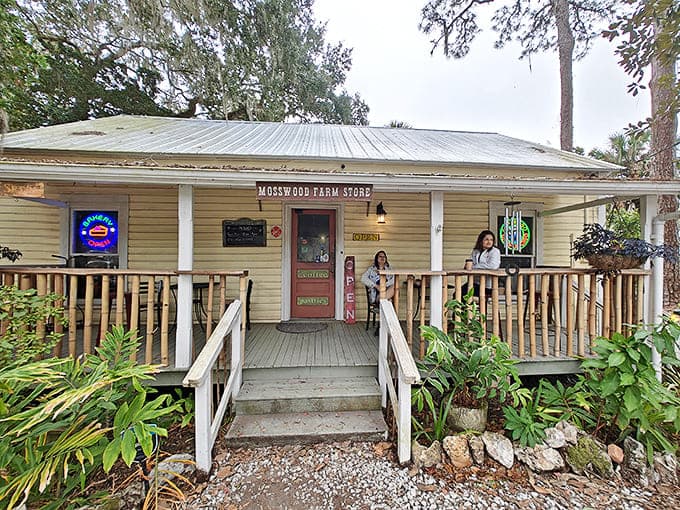 Sunshine dapples the welcoming porch of Mosswood Farm Store, where rocking chairs invite you to slow down and savor life's sweetest moments.