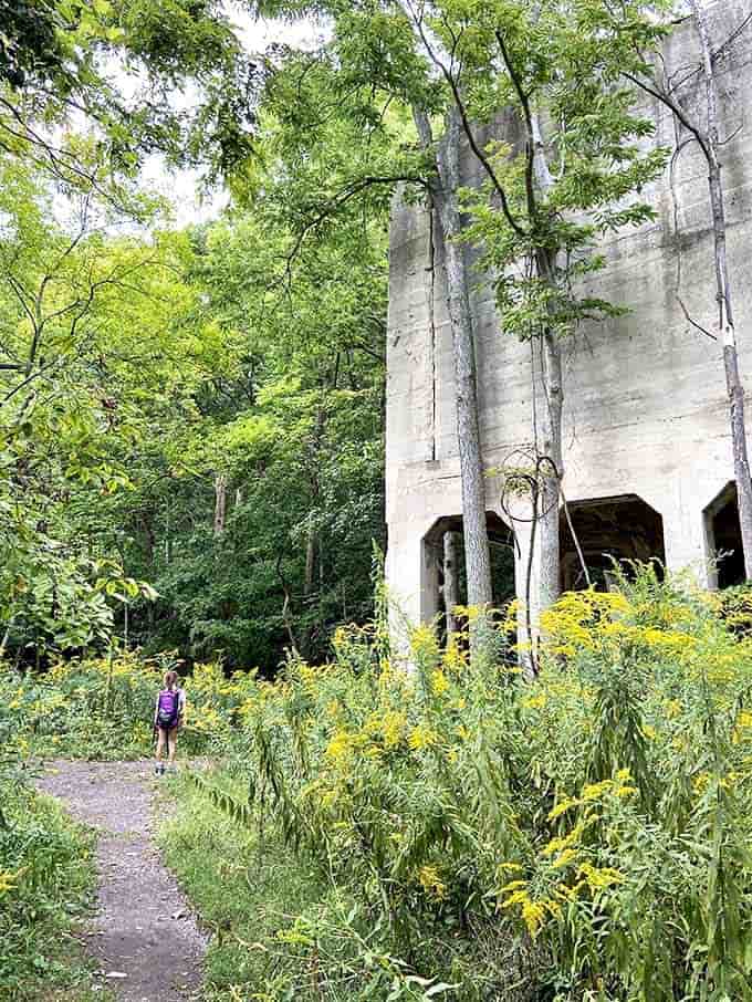 Nature's slow embrace: Concrete giants stand sentinel as wildflowers and saplings reclaim what was once industrial territory on the North Shore Loop.