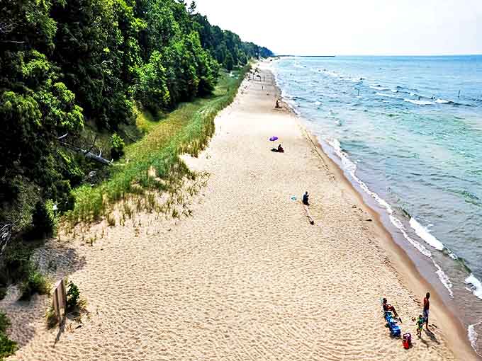 Olive Shores proves that Michigan's beaches can rival ocean destinations, minus the saltwater and sharks, which is honestly a win-win situation.