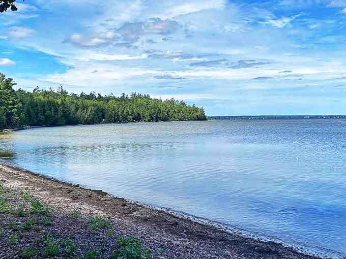 Onaway State Park: Where Lake Huron's crystal waters meet Michigan wilderness, creating a shoreline that feels like nature's perfect watercolor painting.