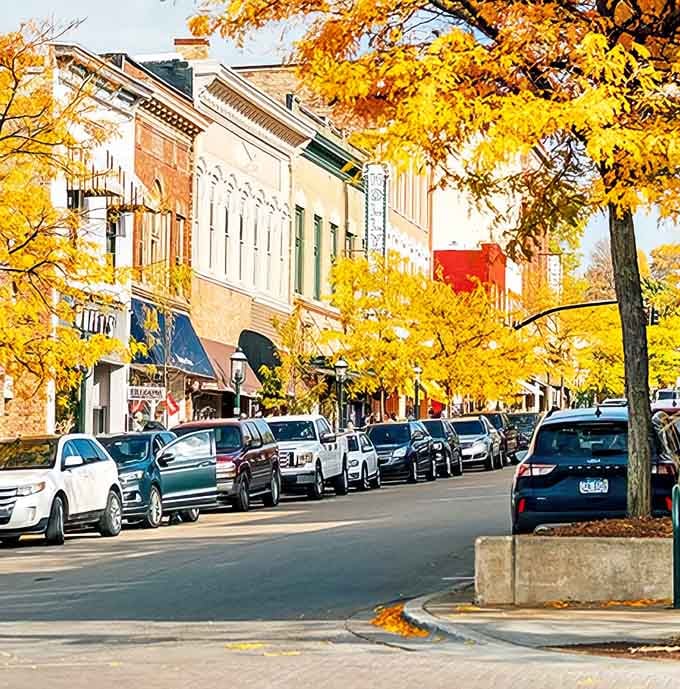 Petoskey's downtown bursts with autumn glory, where historic charm meets nature's paintbrush along streets that practically demand leisurely strolling.
