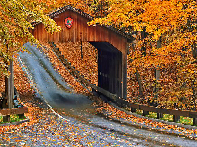 Pierce Stocking Scenic Drive welcomes visitors with its rustic wooden entrance sign, promising adventures that would make even seasoned travelers weak in the knees.