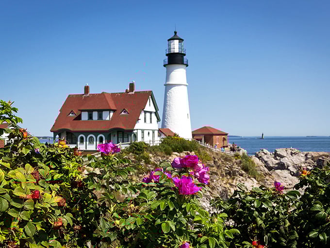 Portland Head Light stands tall against the azure sky, its white tower and red-roofed keeper's quarters creating Maine's most iconic coastal silhouette.