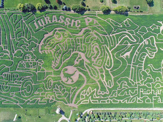 Richardson Adventure Farm's "Jurassic Park" corn maze design &ndash; where getting lost feels like a prehistoric adventure without the inconvenient dinosaur attacks.