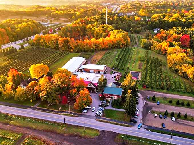 Robinette's Apple Haus & Winery: A bird's-eye view of autumn paradise, where fiery foliage surrounds a family farm that's mastered the trifecta of apples, wine, and pure Michigan charm.