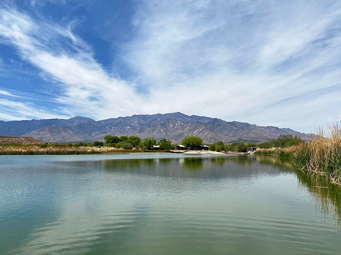 Roper Lake's mirror-like waters perfectly reflect Mount Graham's majestic silhouette, creating a double dose of natural splendor for lucky visitors.