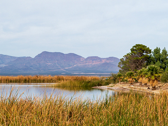 Roper Lake State Park welcomes visitors with a shimmering oasis nestled against the dramatic backdrop of Arizona's rugged Pinaleño Mountains.