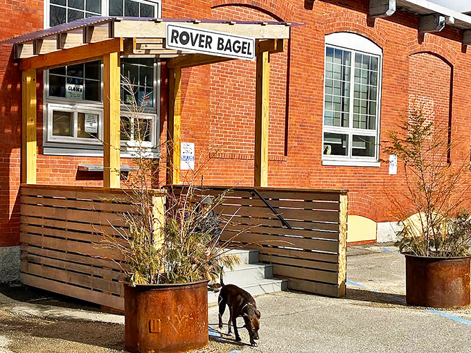 Rustic charm meets culinary magic at Rover Bagel's inviting entrance, where wood beams frame the promise of breakfast perfection.