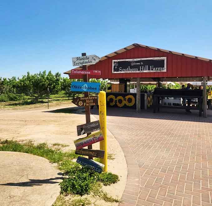 The iconic red barn of Southern Hill Farms welcomes visitors with rustic charm and colorful directional signs pointing to adventures beyond the parking lot.